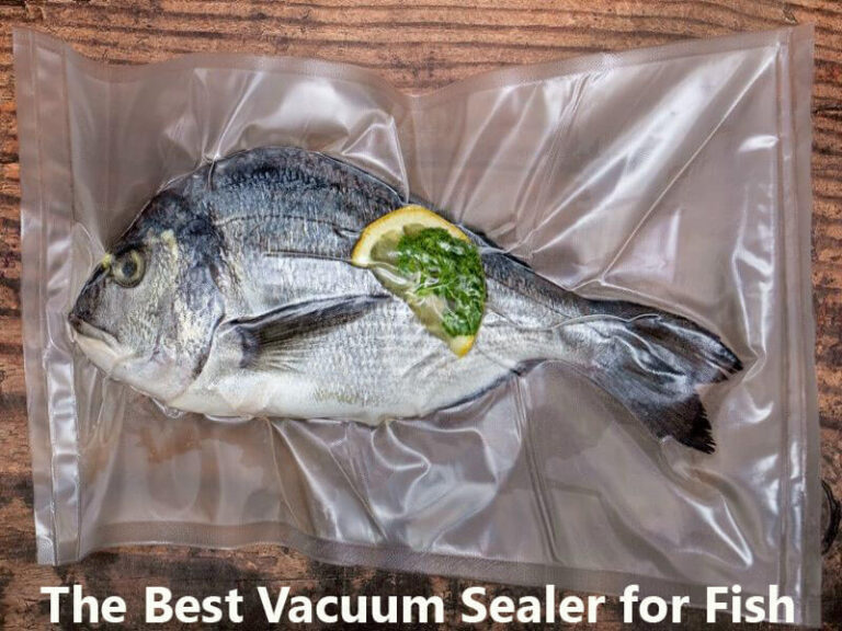 The Best Vacuum Sealer for Fish : Seal In Freshness